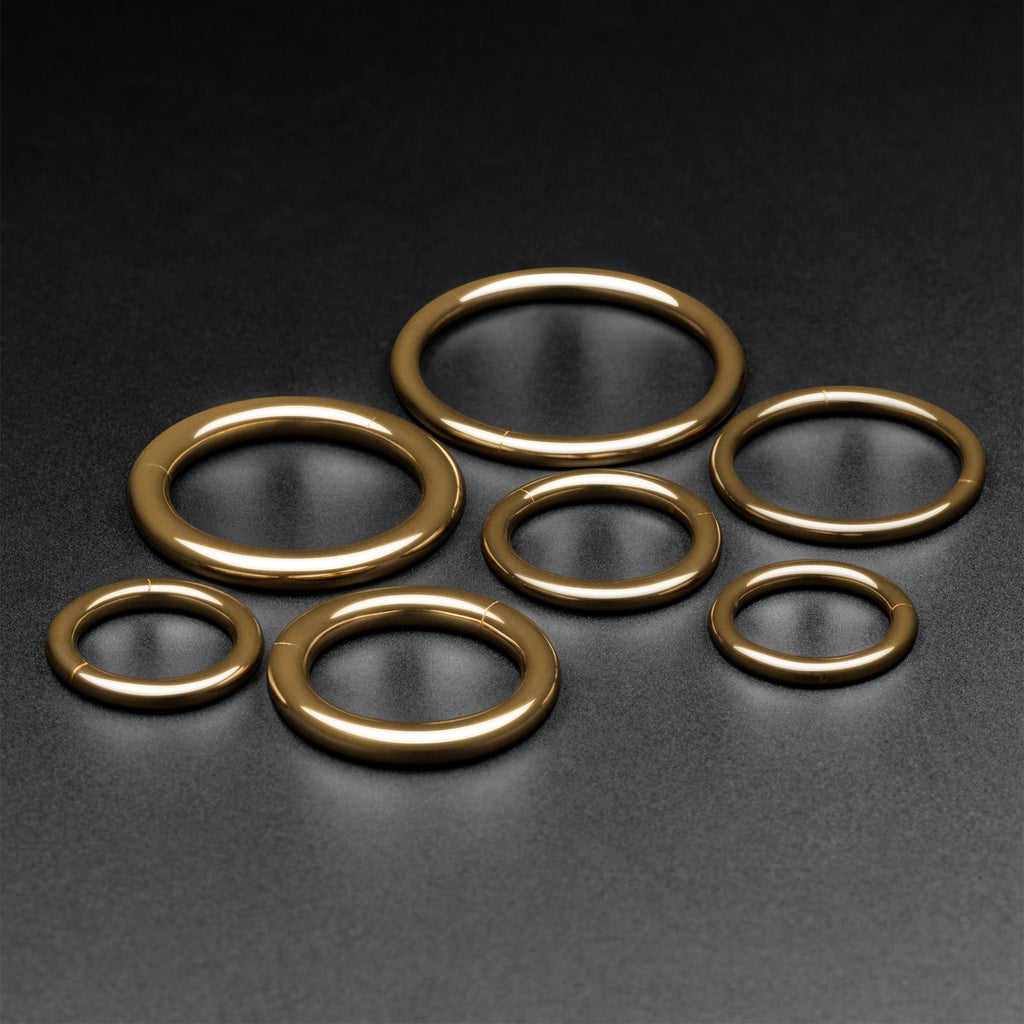 14k Gold Hinged Segment Ring | 6mm - 12mm | 14k Gold Body Jewellery ...
