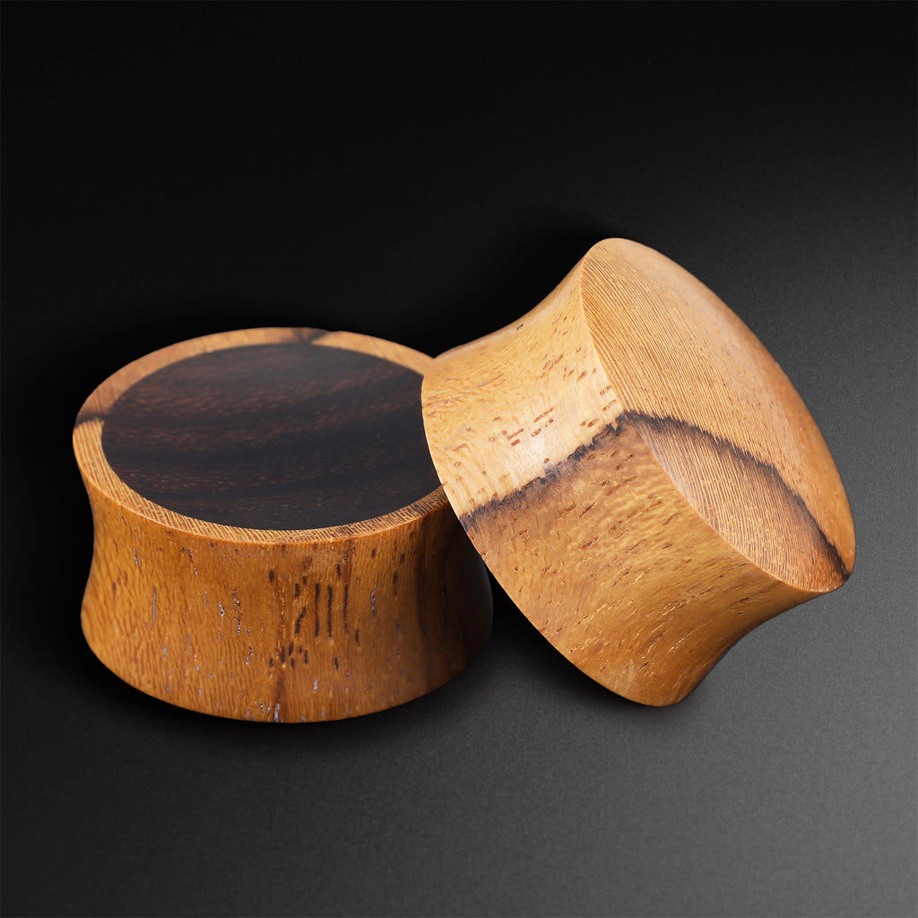 Olive Wood Double Flare Concave Plug with Sono Wood Inlay | Stretch It