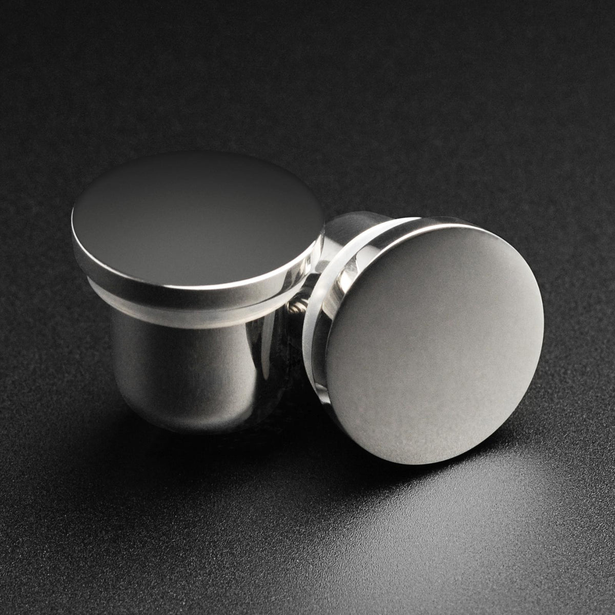 Plugs From SIBJ | Wood | Organic | Surgical Steel