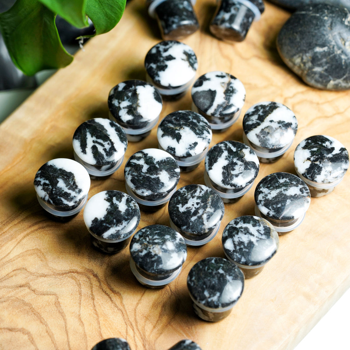 Zebra Jasper Single Flare Convex Stone Plug
